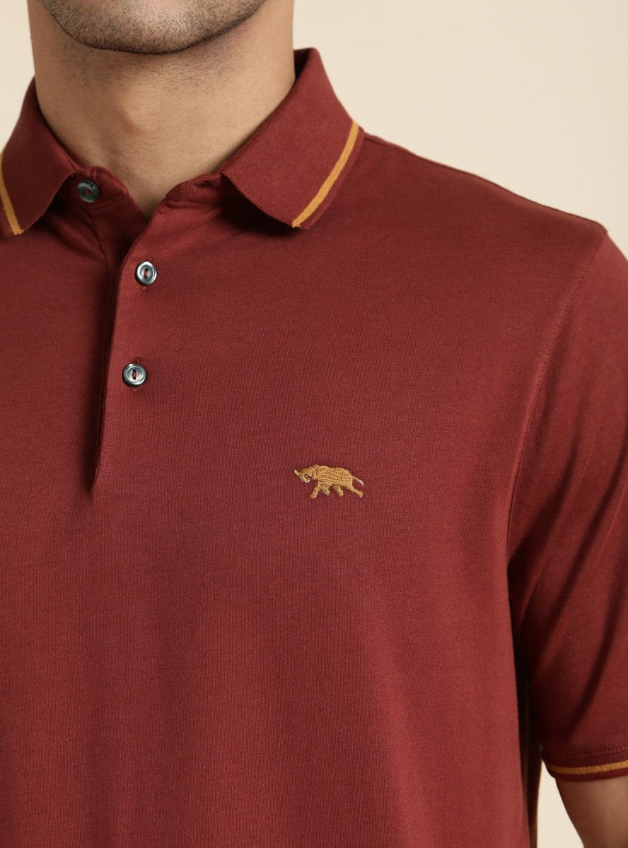 Buy Rusty Garnet Polo | Casual Rust Solid Polos & Tees for Men Online ...